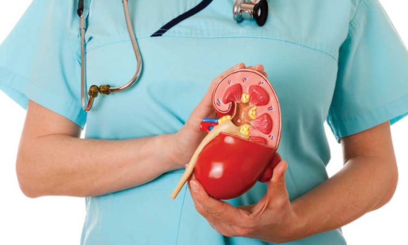 What You Should Know about Kidney Infection Recovery - enkimd